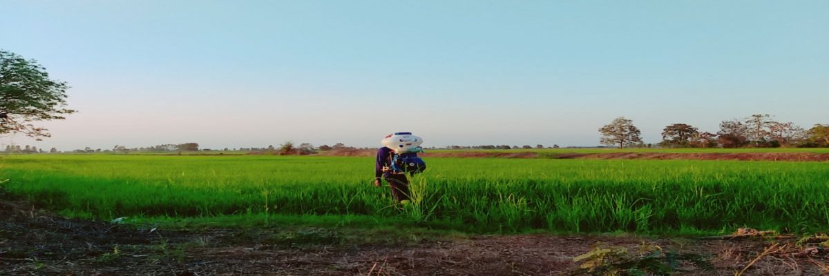 พวกผมลูกชาวนา - เว็บบอร์ด - board.postjung.com