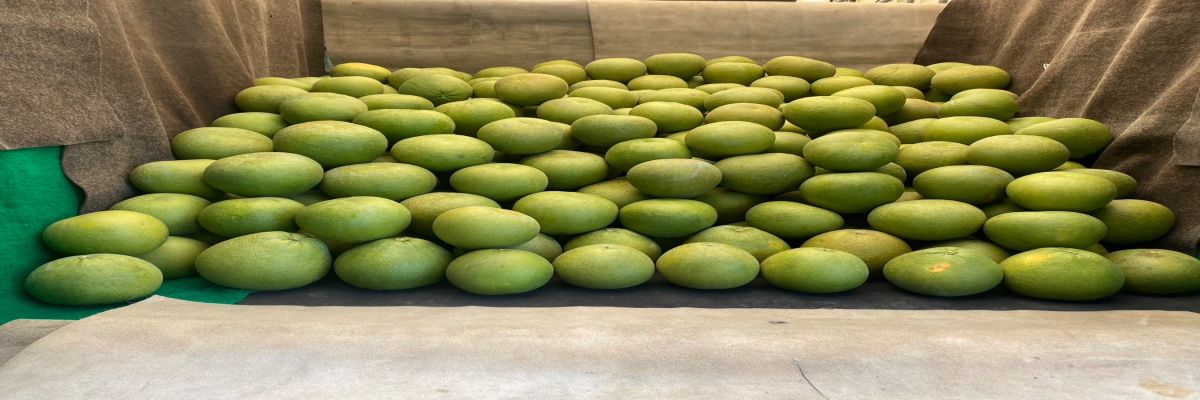 วิถีเกษตรกร - เว็บบอร์ด - board.postjung.com