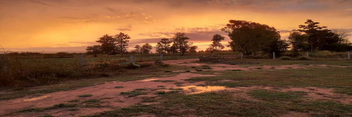 สาระนานา - เว็บบอร์ด - board.postjung.com