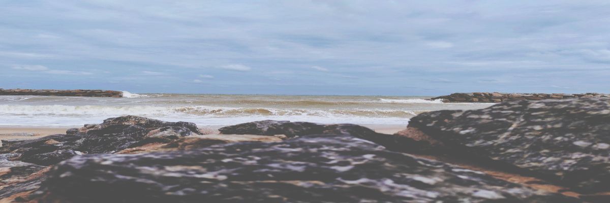 Review, รีวิว ทุกอย่าง - เว็บบอร์ด - board.postjung.com